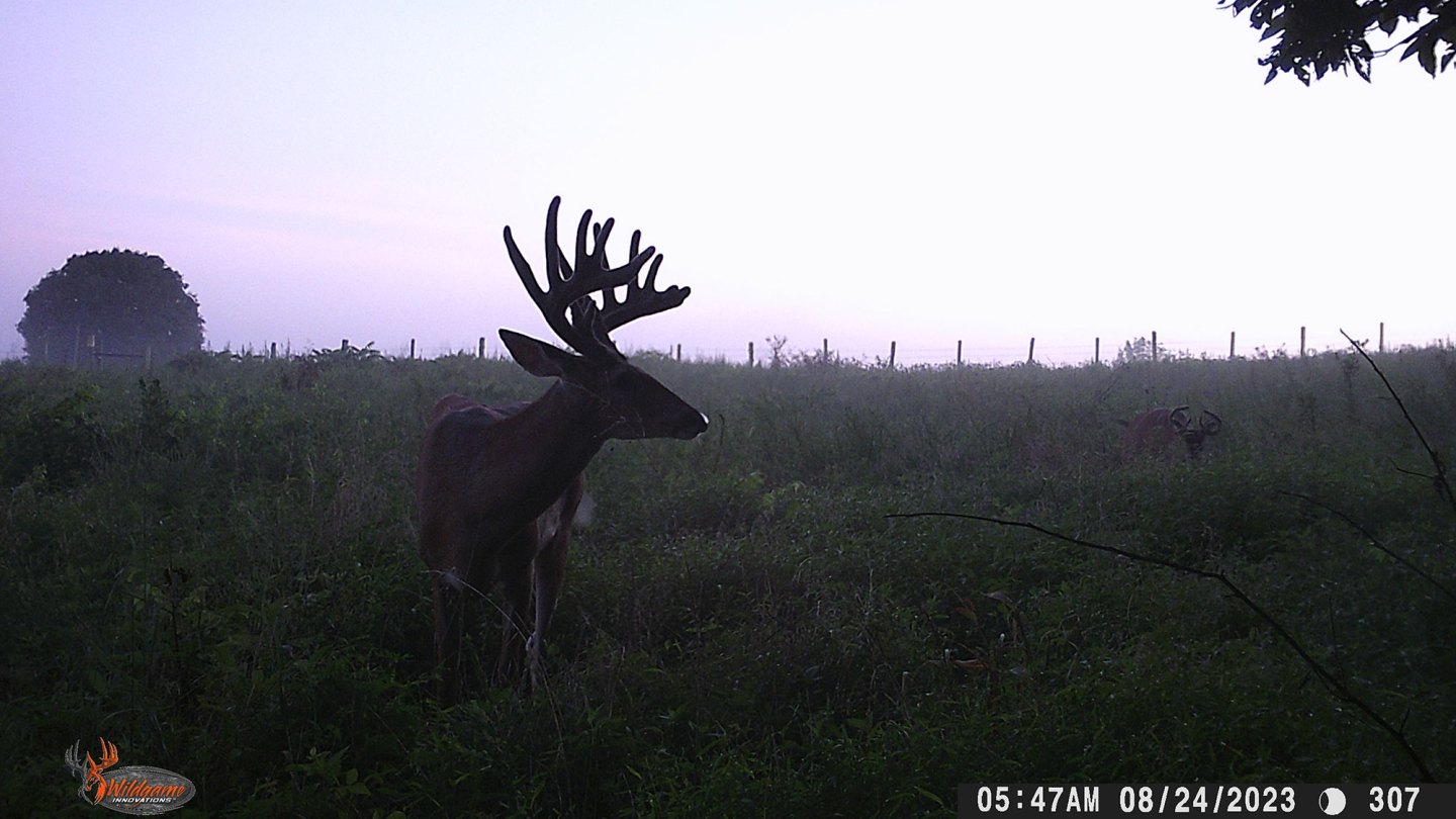 How to Hunt Big Bucks Over Bait | Outdoor Life
