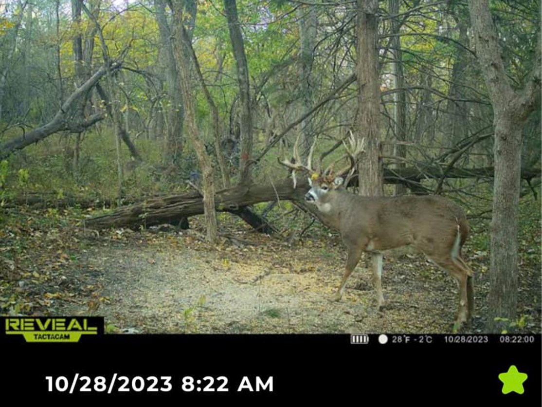 Bowhunter Tags Giant Kansas Whitetail with Double Drop-Tines | Outdoor Life