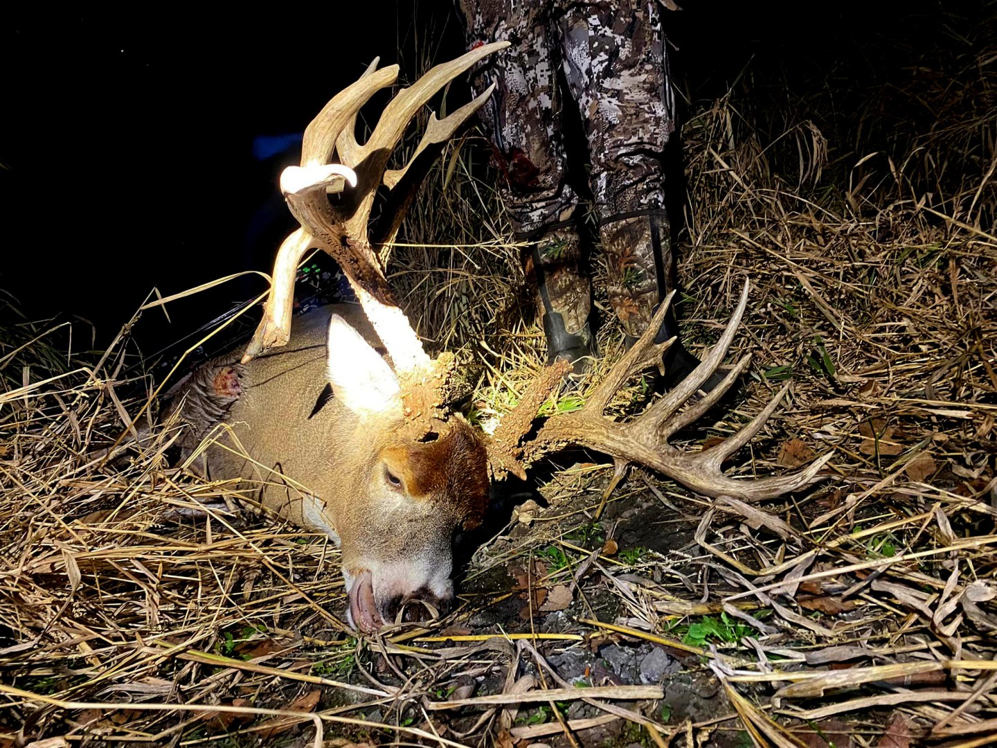 Bowhunter Tags Giant Kansas Whitetail with Double Drop-Tines | Outdoor Life
