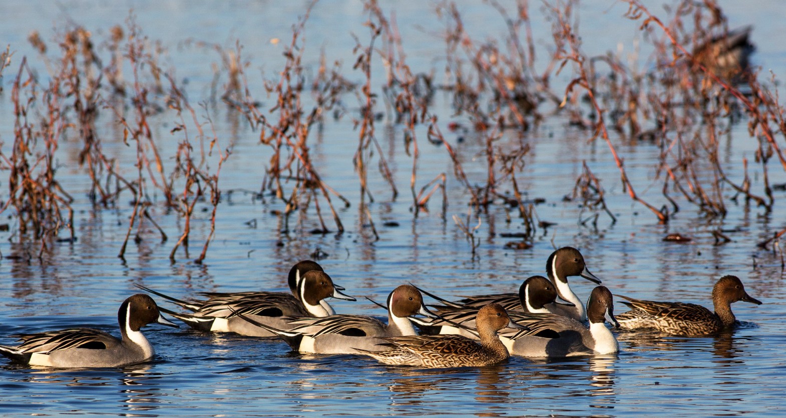 Conservation vs Preservation: What’s the Difference? | Outdoor Life