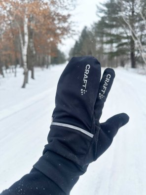 Best Winter Gloves of 2026, Field Tested and Reviewed | Outdoor Life