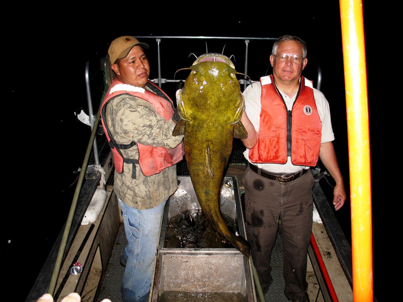 What Do Catfish Eat? These Are Their 20+ Favorite Foods and Bait