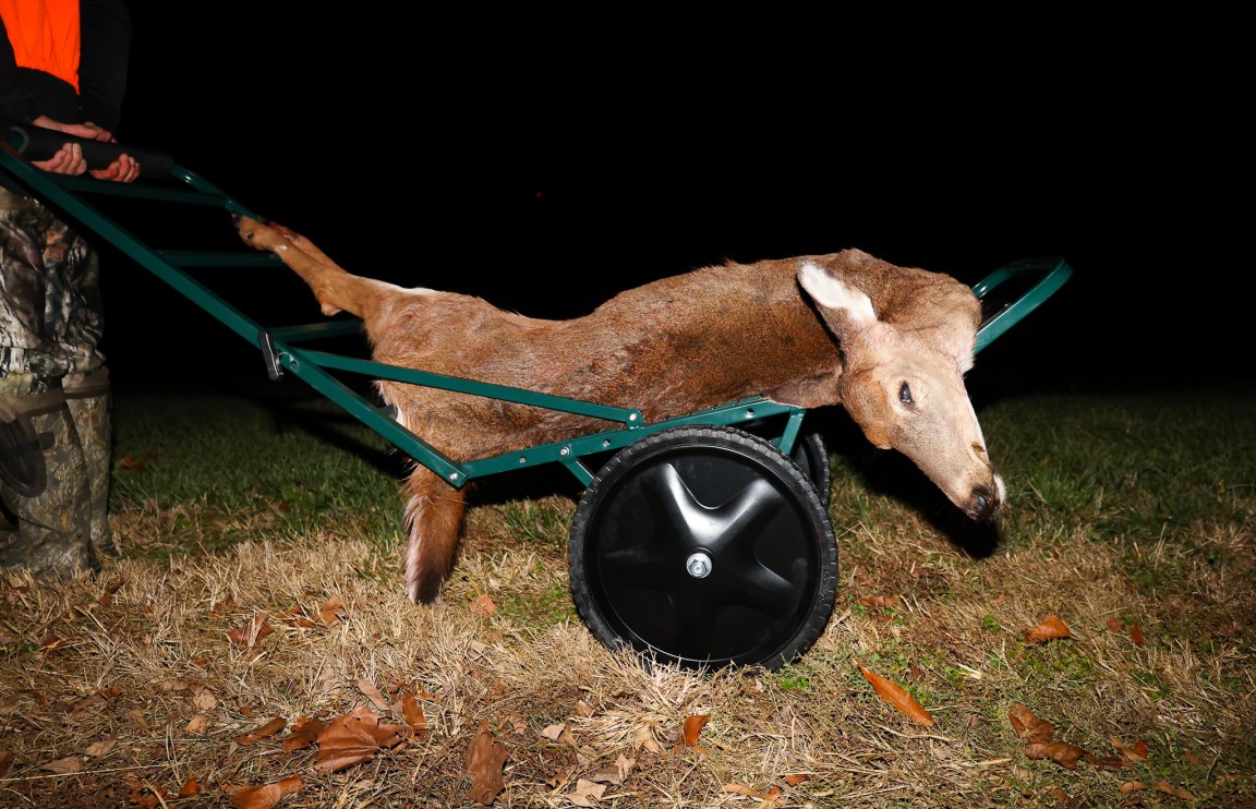 Best Deer Carts of 2026, Tested and Reviewed