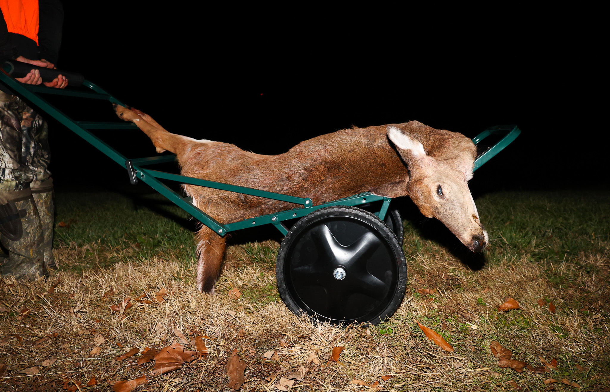 Best Deer Carts, Tested and Reviewed