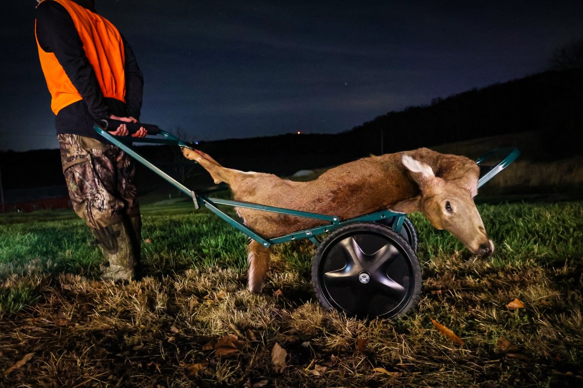 Best Deer Carts of 2026, Tested and Reviewed