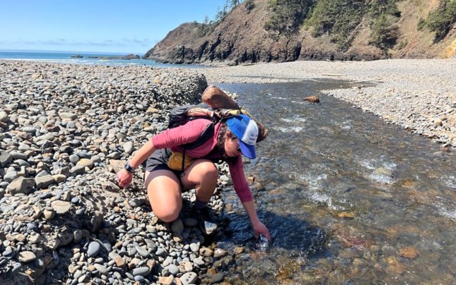 The 5 Best Water Purification Tablets for Backpacking and Survival