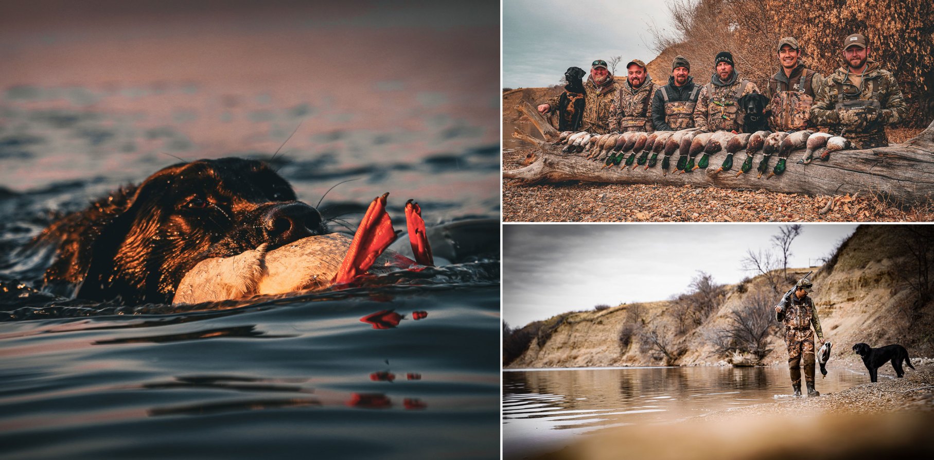 The Best Duck Loads, Range Tested and Reviewed | Outdoor Life
