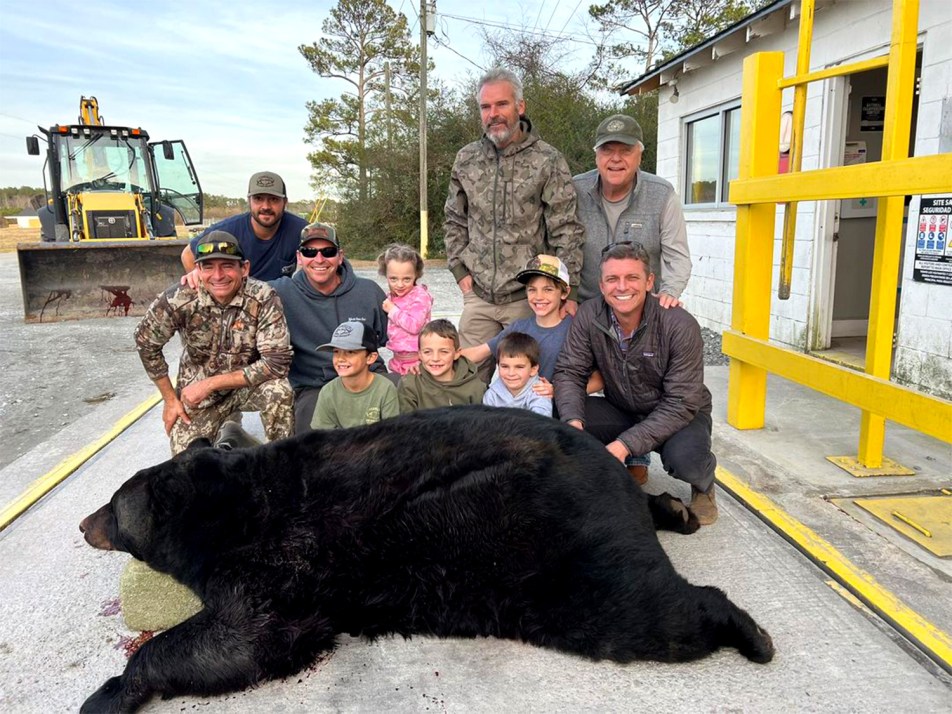 This Could Be the Heaviest Black Bear Ever Recorded in North Carolina