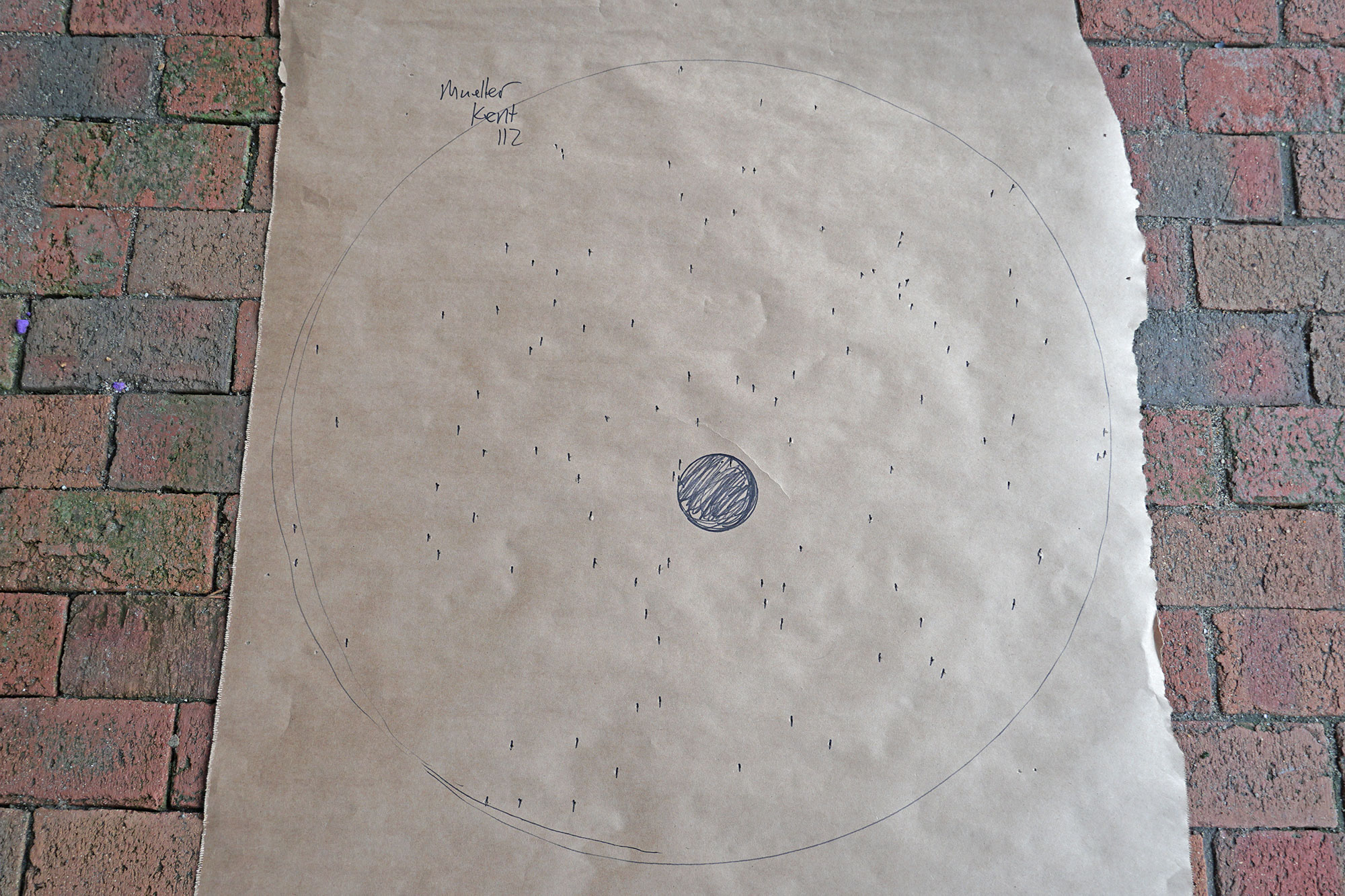 The Greatest Chokes for Duck Looking, Vary Examined and Reviewed ...