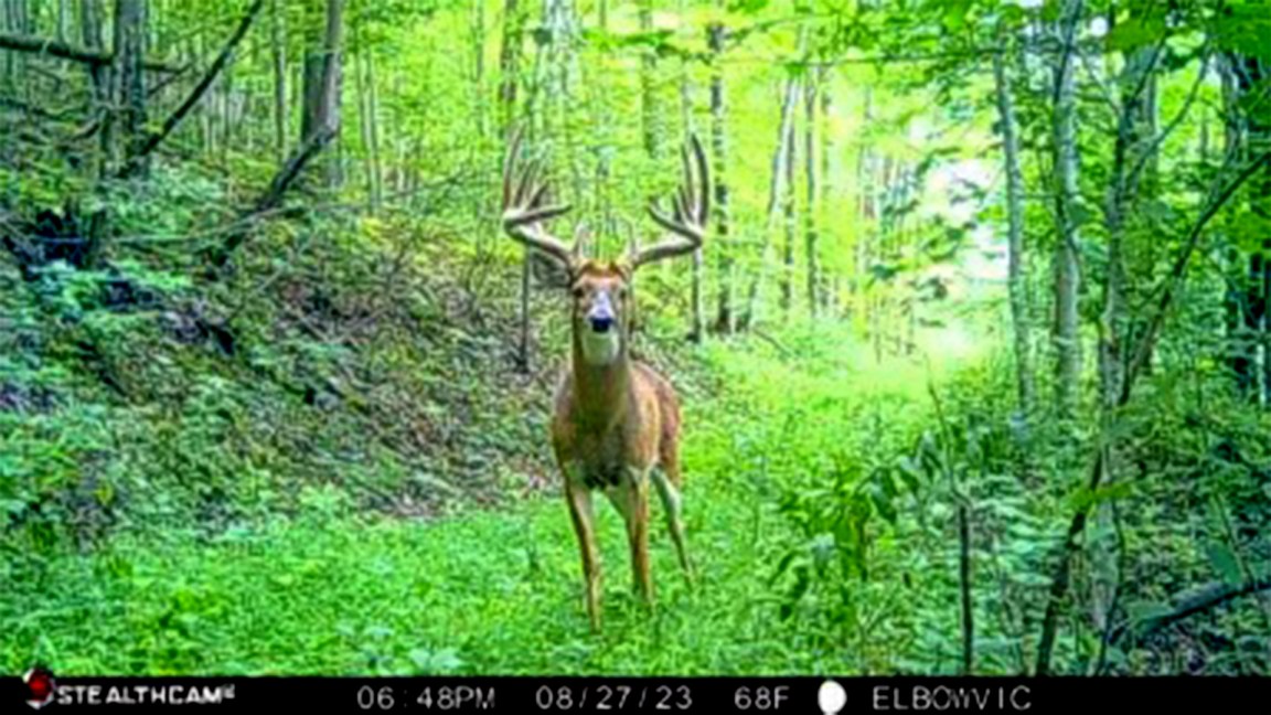 New York Hunter Gets a Second Chance on 180-Inch Buck | Outdoor Life