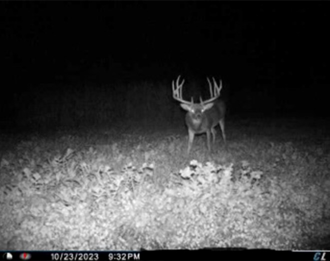 Ohio Hunter Stalks into Position on a Bedded 200-Class Buck | Outdoor Life