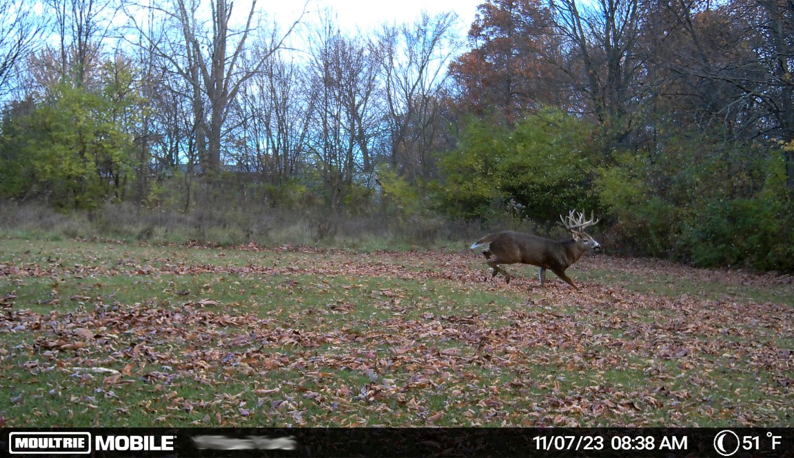 How an Ohio Bowhunter Killed Three 200-Inch Bucks in Three Years ...