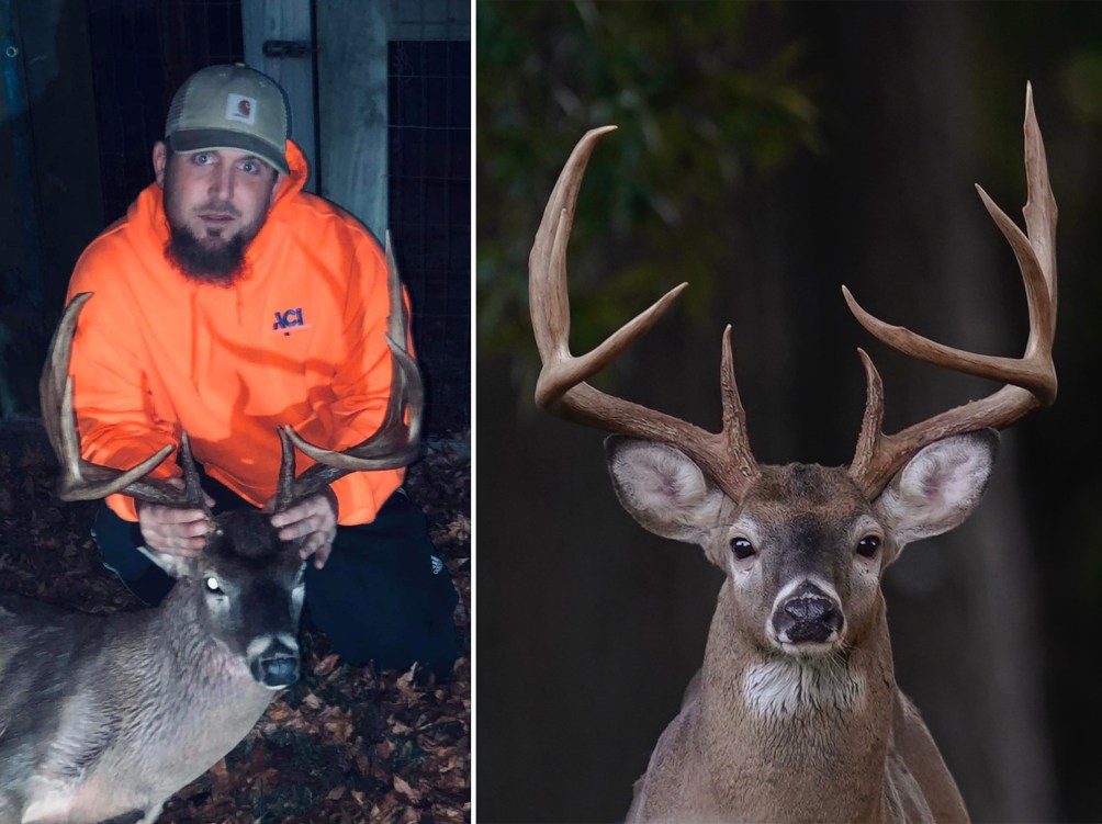 Man Who Poached Hollywood Cemetery Buck Banned from Hunting for 24 Years