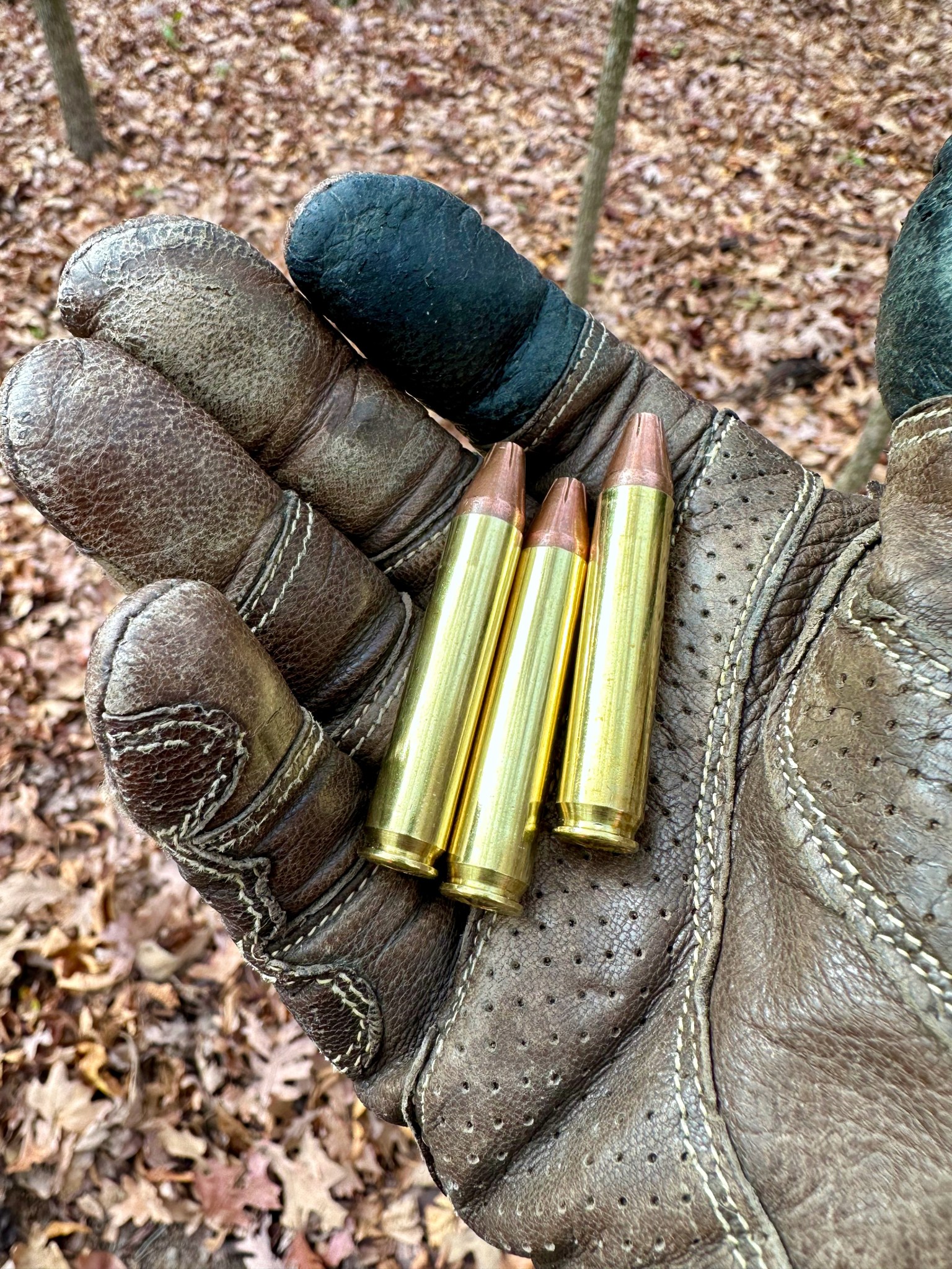 New 2024 Left-Handed Rifles | Outdoor Life