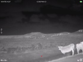 Best Thermal Monoculars and Binoculars of 2025, Field Tested | Outdoor Life