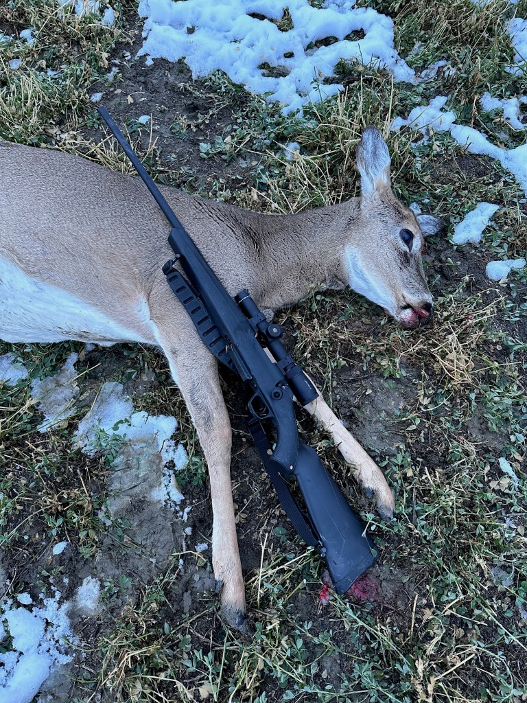 New 2024 Left-Handed Rifles | Outdoor Life