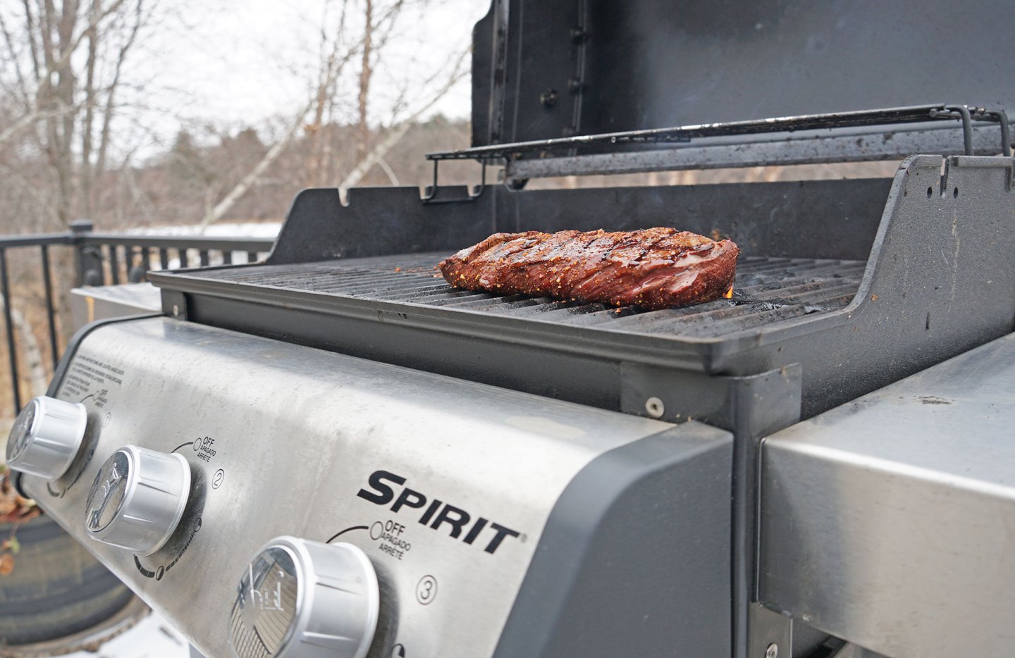 The Best Grills of 2025, Chosen By Our Editors | Outdoor Life