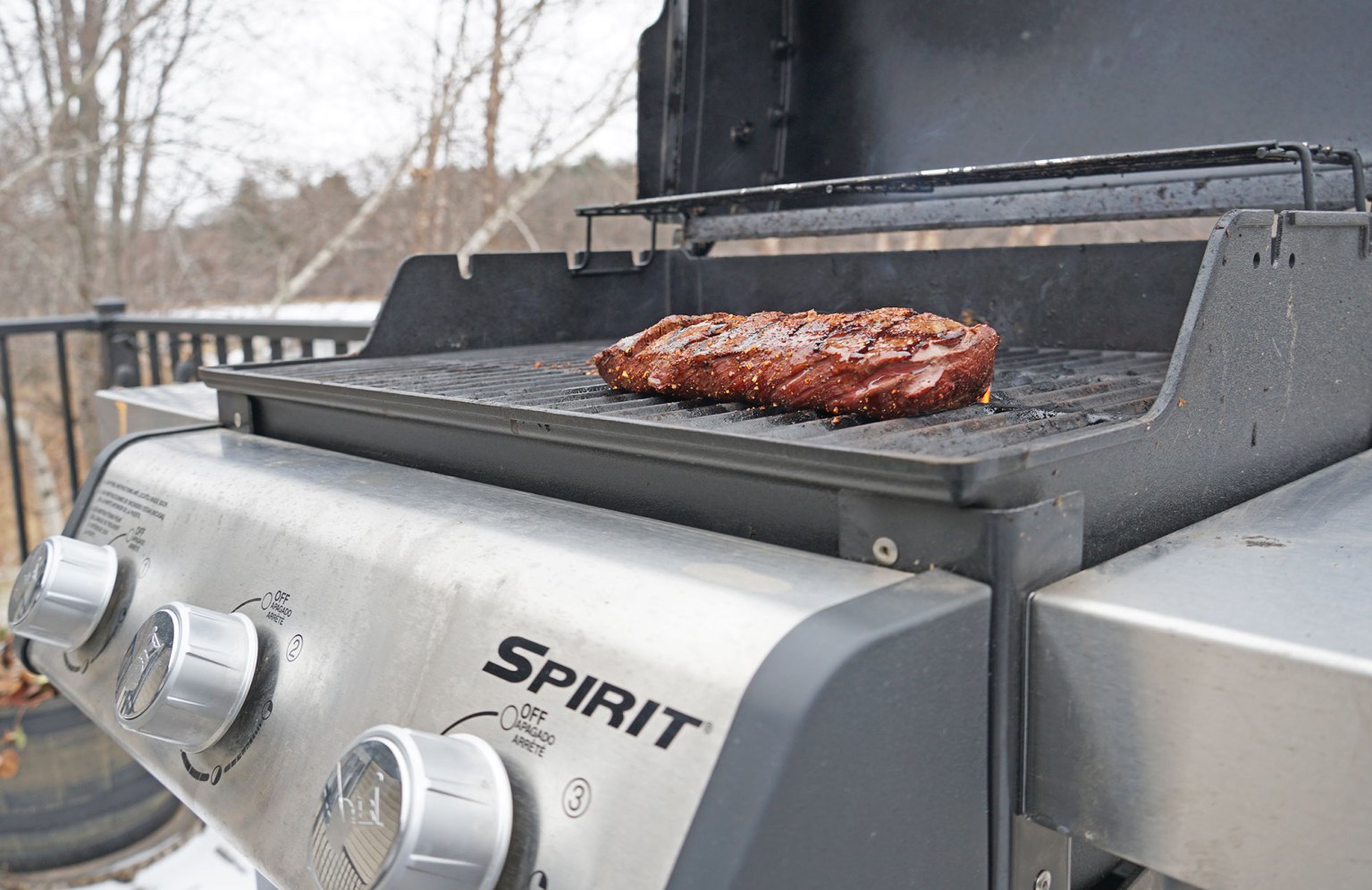The Best Grills of 2025, Chosen By Our Editors | Outdoor Life