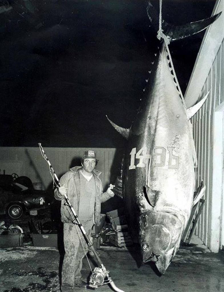 These 6 Monsters Are the Biggest Fish Ever Caught — At Least On Record ...
