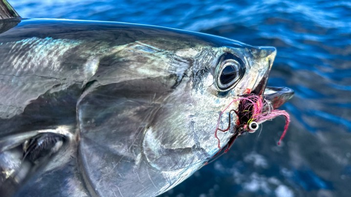 How to Tie the Clouser Minnow, Step by Step