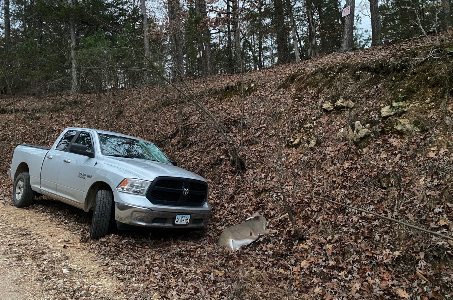 After I Shot a Deer, It Leapt on My Truck and Smashed My Windshield ...