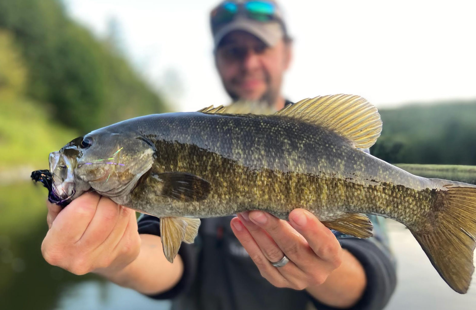 How Fish Create “Countries” in River Systems - Firearm Pebbles