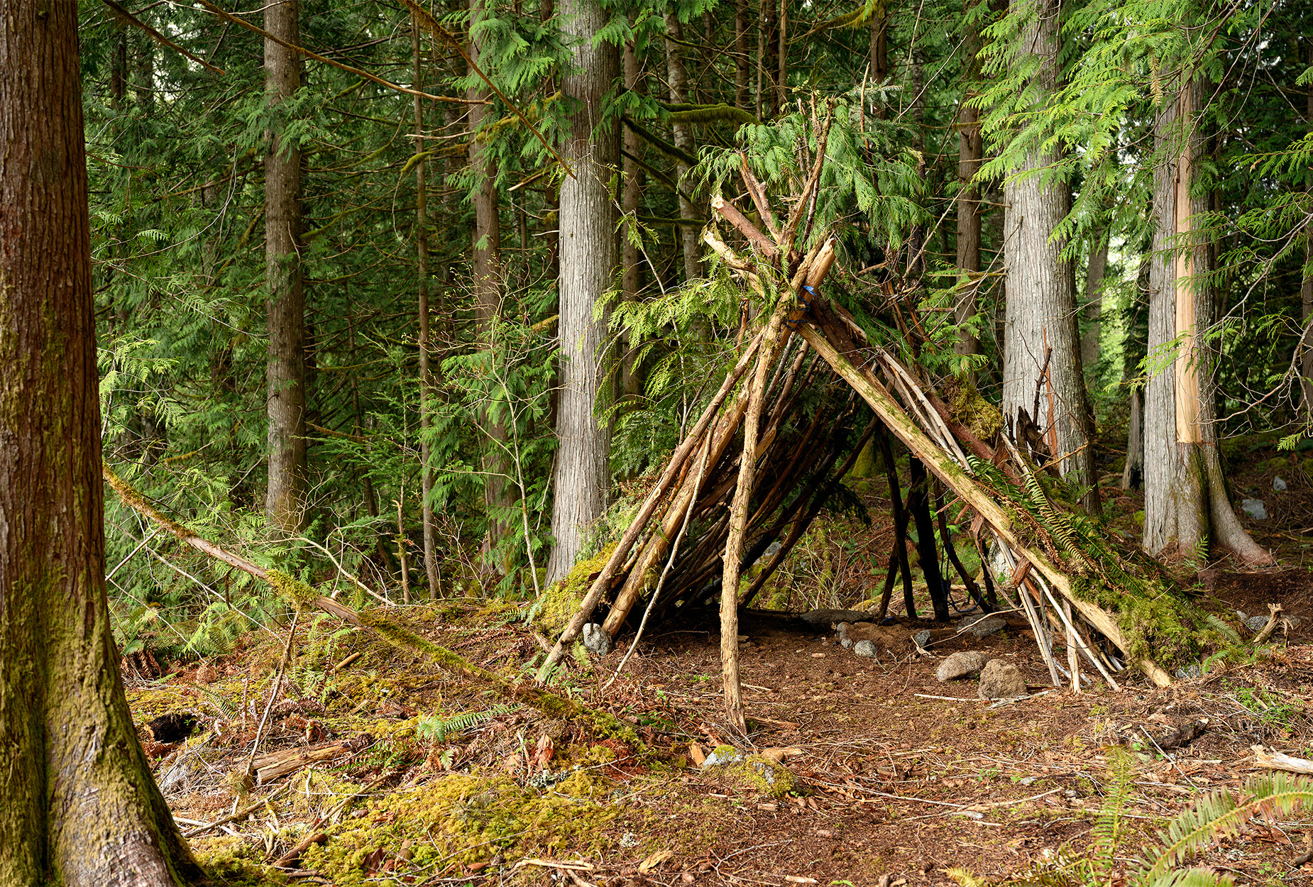 A Beginner's Guide to Bushcraft | Outdoor Life