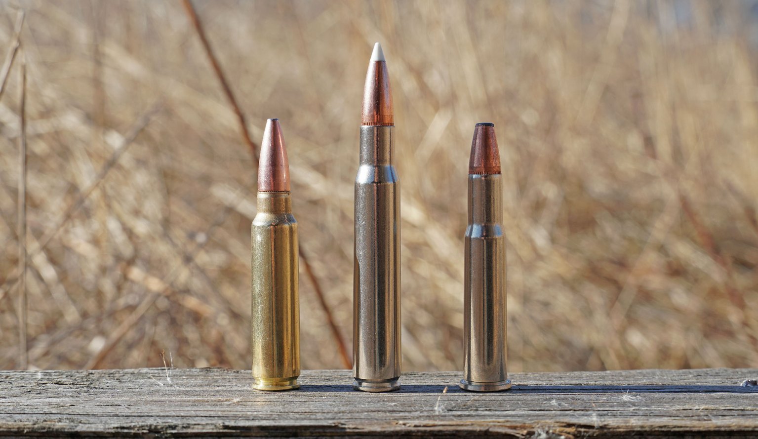 300 Savage Cartridge Overview | Outdoor Life