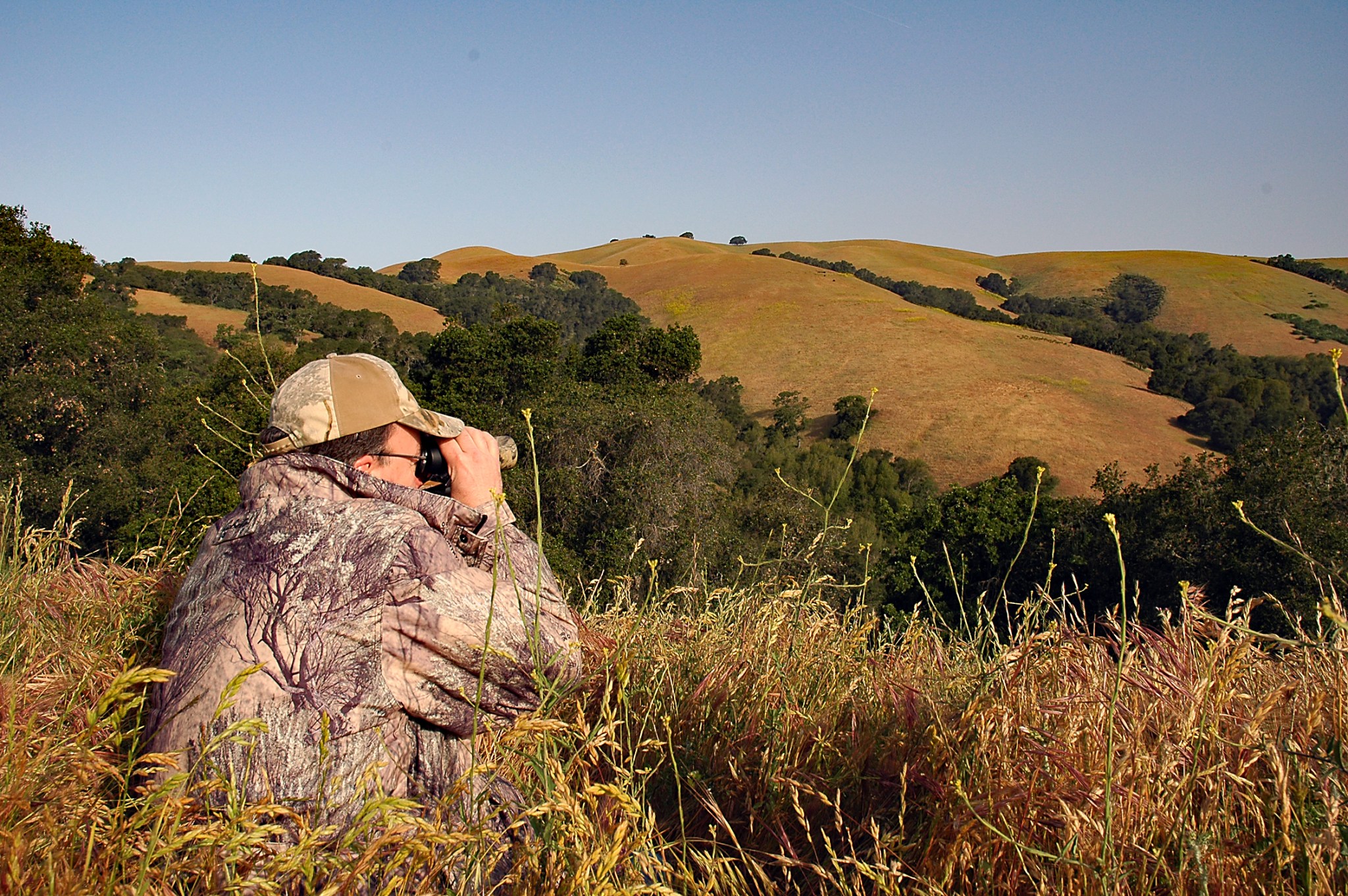 Hog Hunting: A Beginner's Guide | Outdoor Life