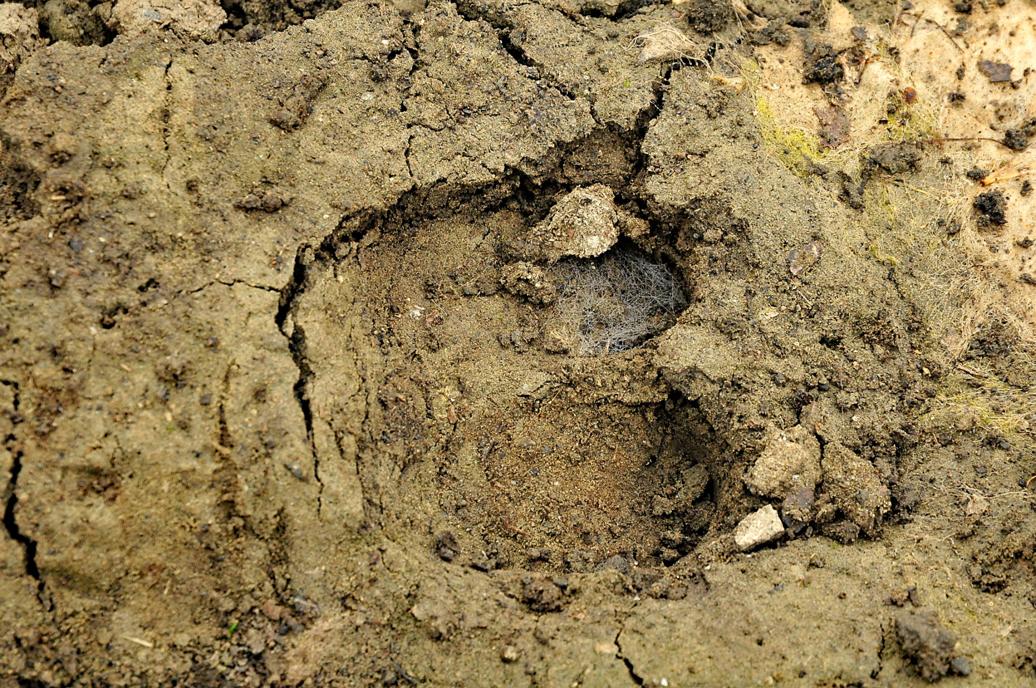 Hog Hunting: A Beginner's Guide | Outdoor Life