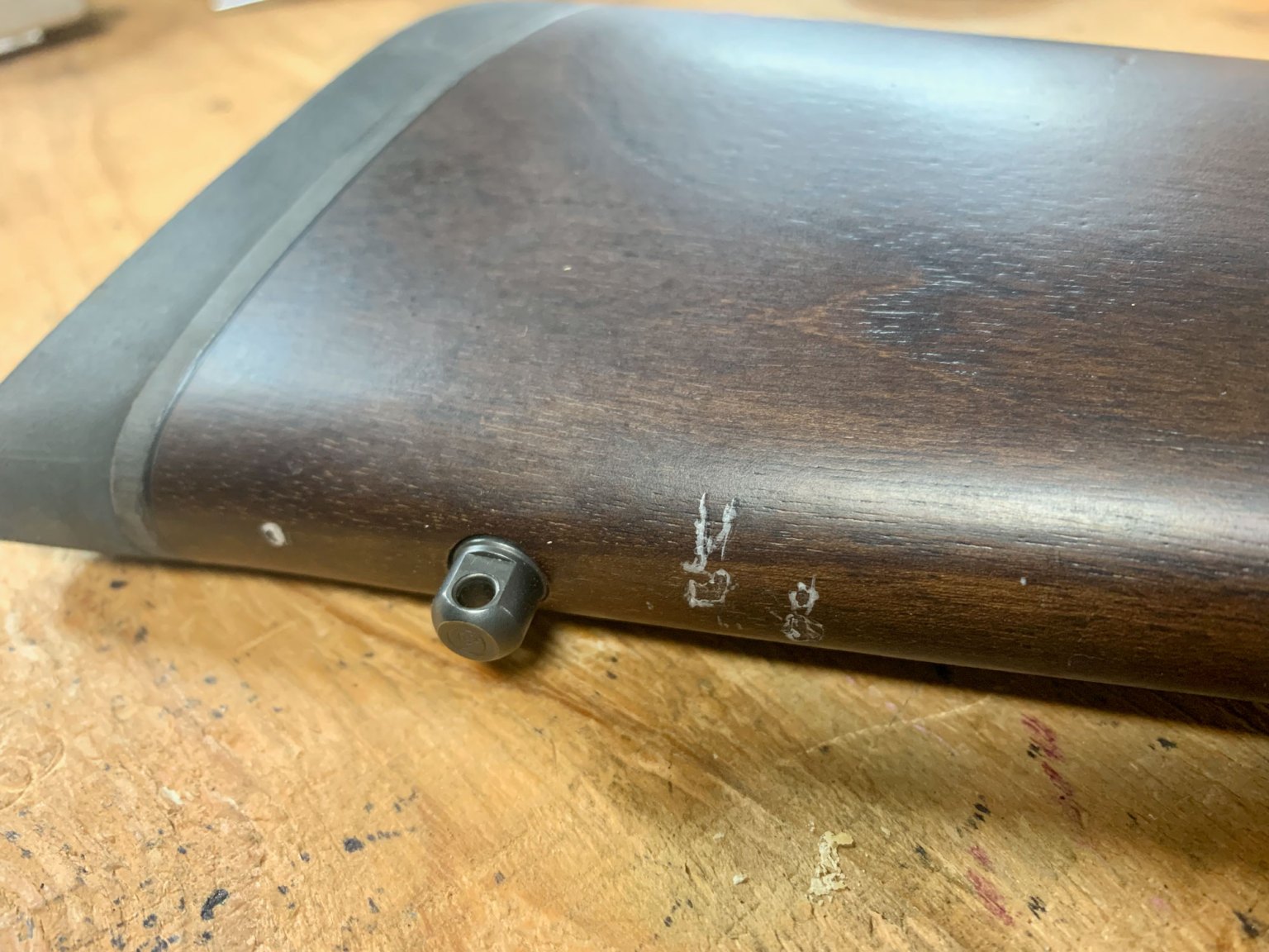 CZ 600 American Review | Outdoor Life