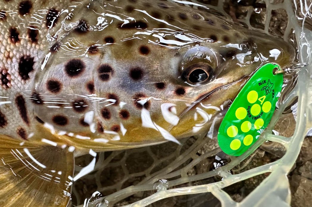 Inline Spinners: How to Pick the Best Spinner for the Conditions ...