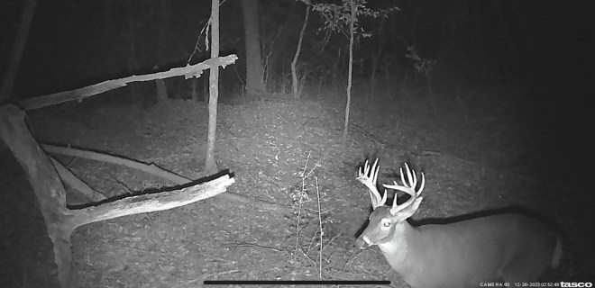 Mississippi Hunter Downs 15-Point Buck with Double Rows of Tines ...