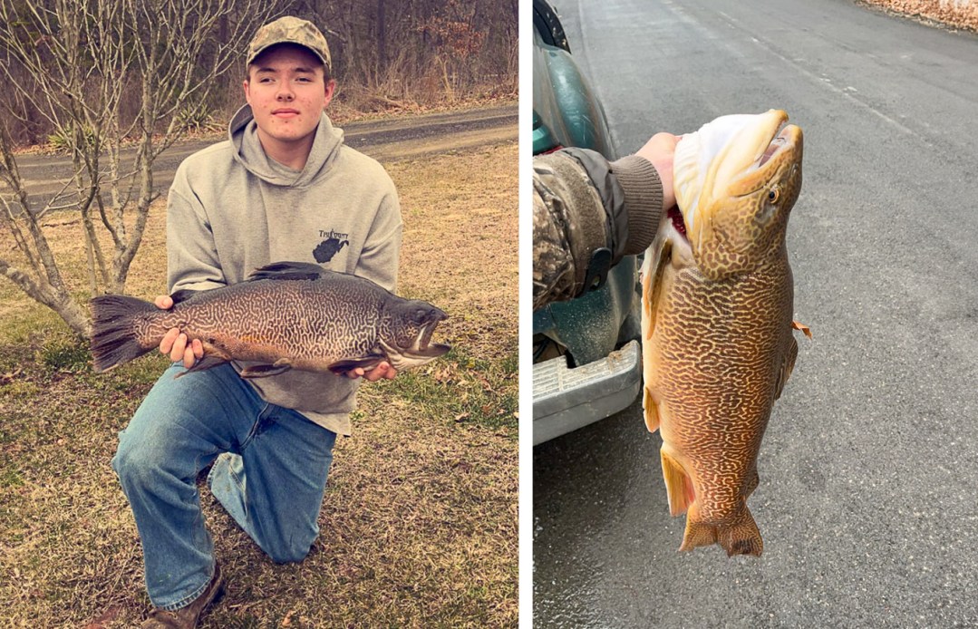 West Virginia Teen Lands New State-Record Tiger Trout That Barely Fit ...