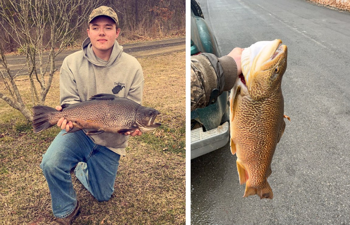 West Virginia Teen Lands New State-Record Tiger Trout That Barely Fit ...