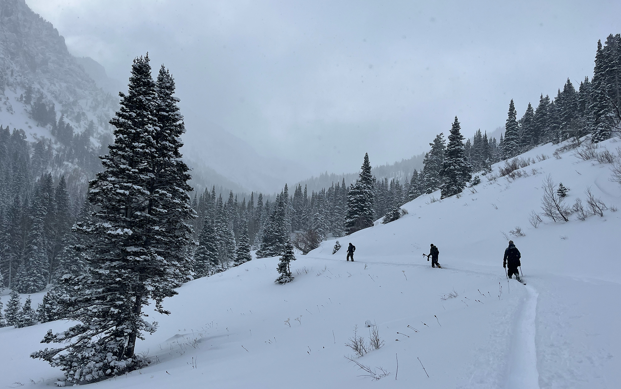 Avalanche Level 1 Course: How to (Probably) Not Die | Outdoor Life
