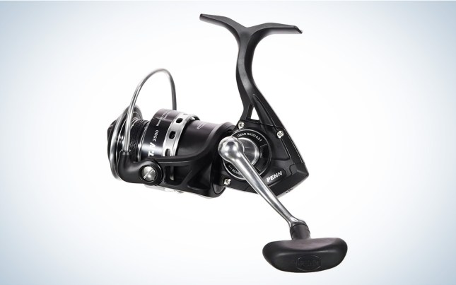 Best Spinning Reels Under $100 of 2024, Tested and Reviewed