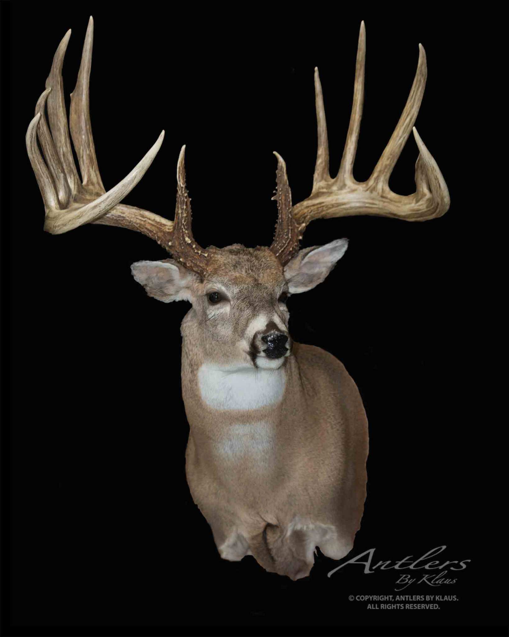 The Biggest Whitetail Sheds Ever Found | Outdoor Life