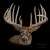 The Biggest Whitetail Sheds Ever Found | Outdoor Life