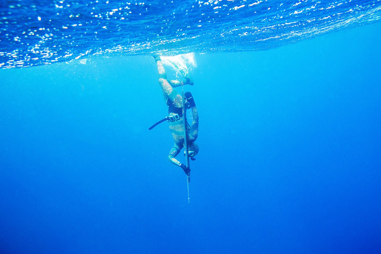 Spearfishing: The Ultimate Guide for Beginners and Beyond