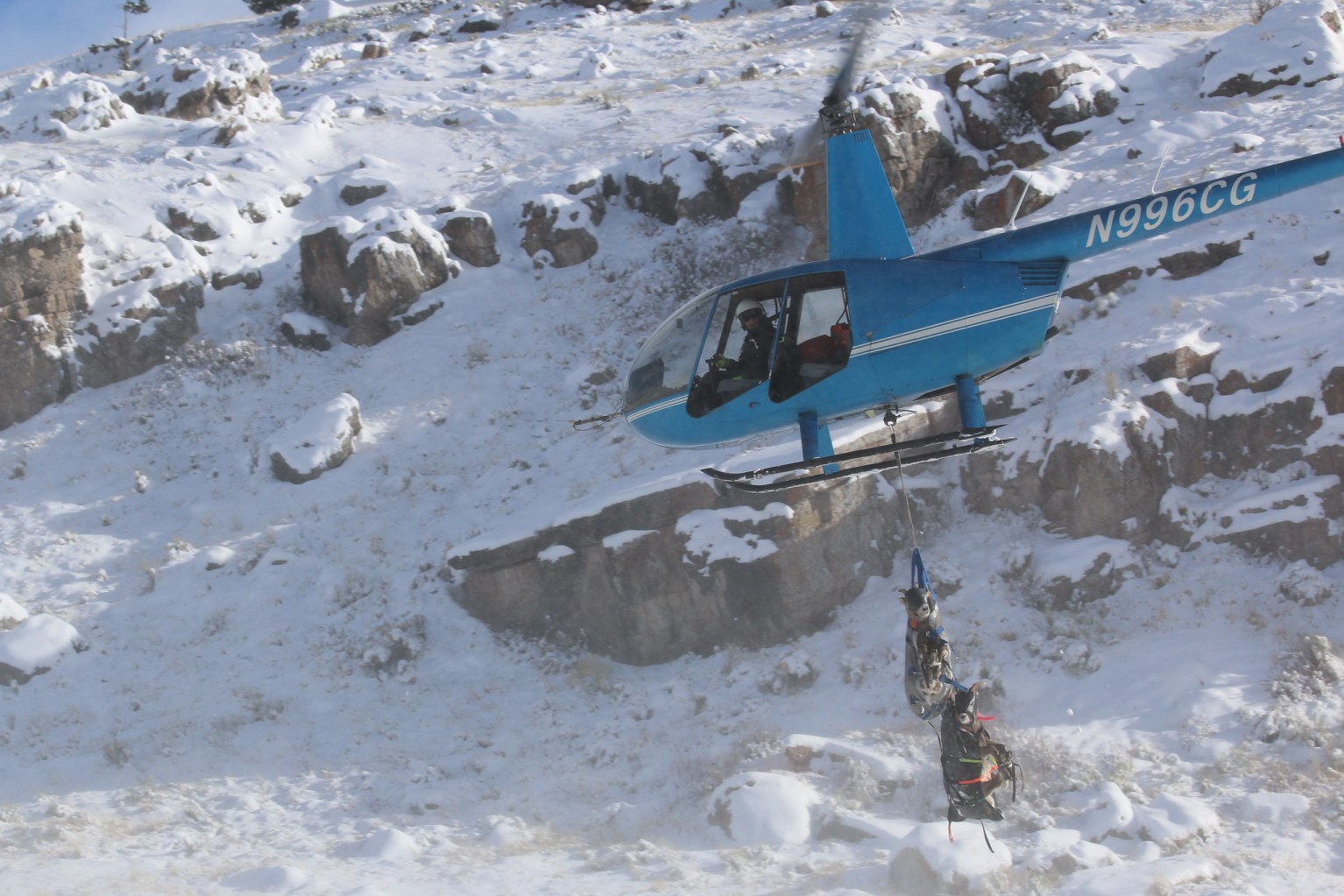 Arizona Will Stop Auctioning Big-Game Tags to the Wealthiest Hunters