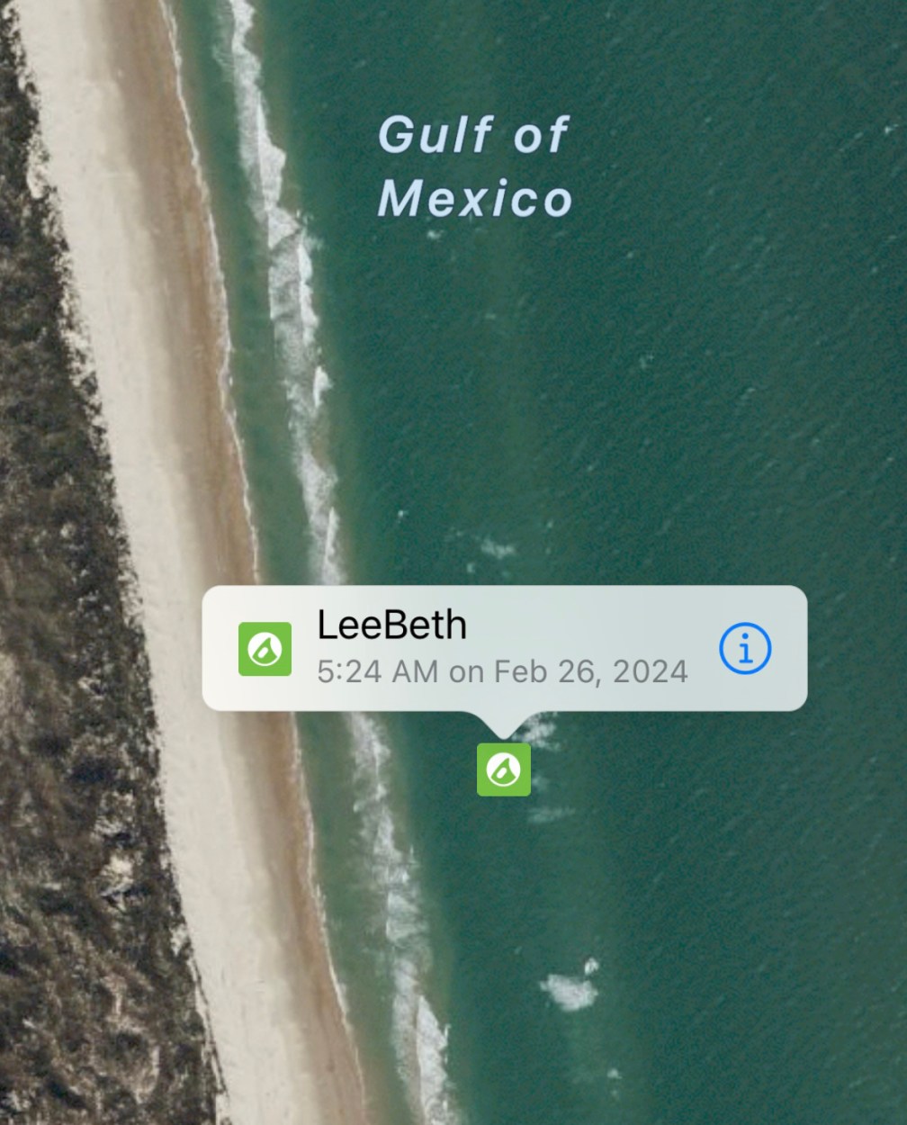Great White Shark Makes Record 2,000-Mile Journey to Mexico Border