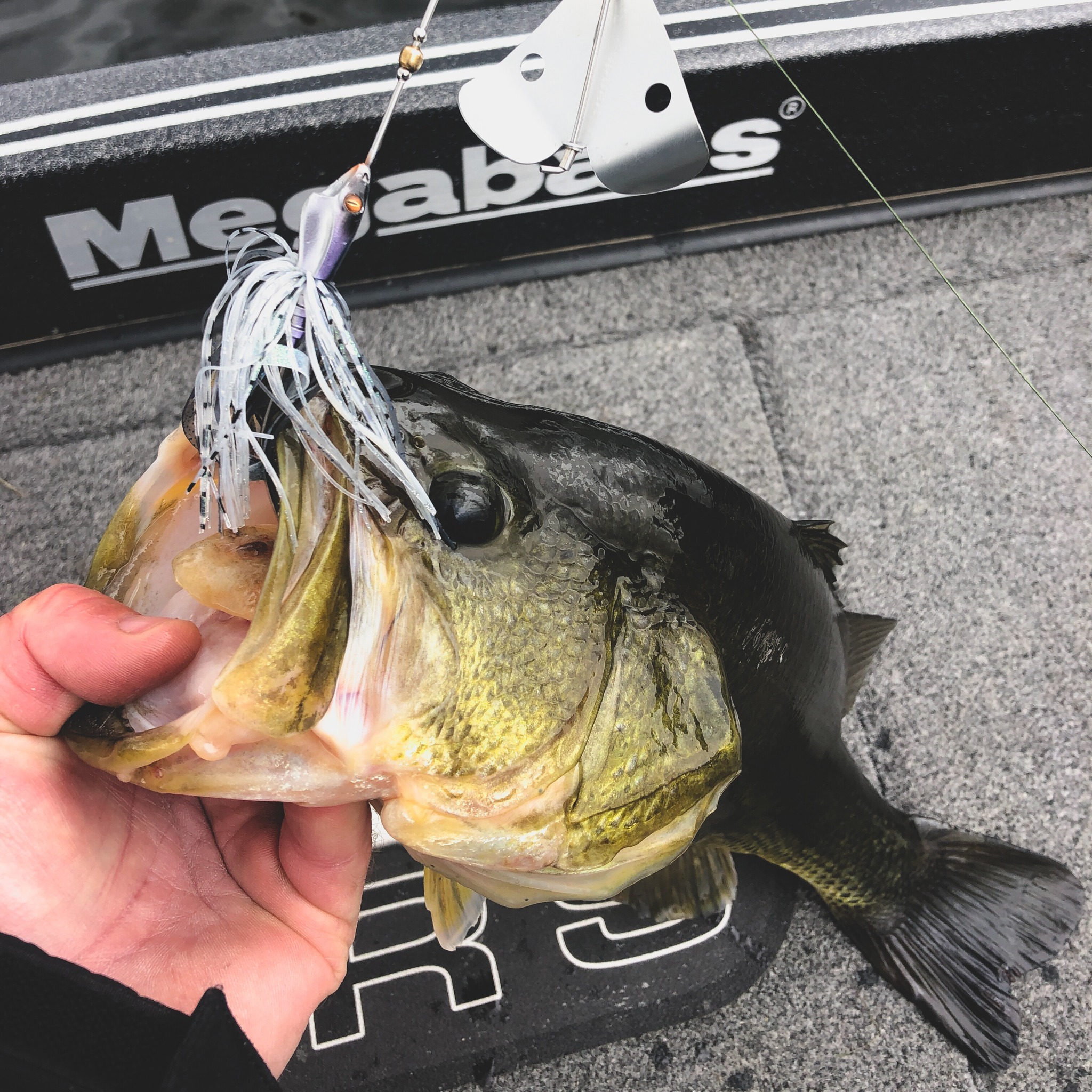 The 6 Best Buzzbaits of 2025 | Outdoor Life