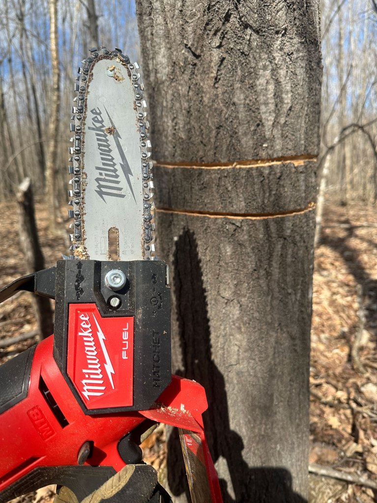 Best Mini Chainsaws of 2025, Tested and Reviewed | Outdoor Life