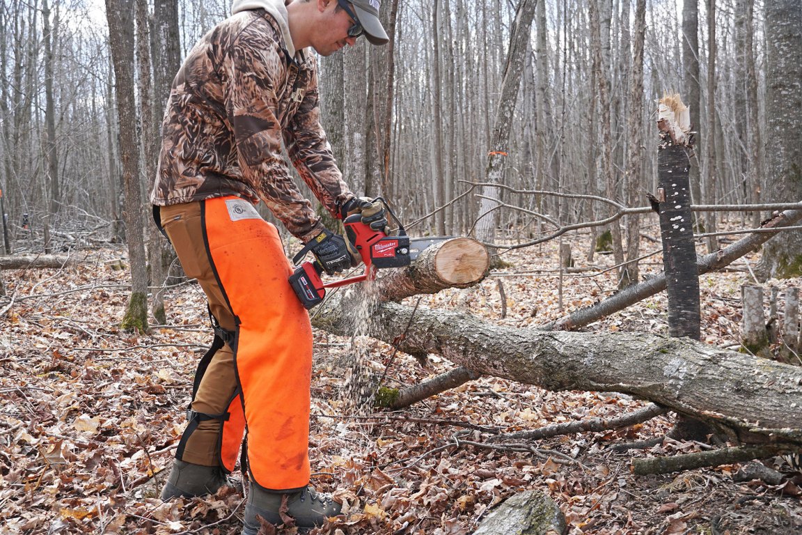 Best Mini Chainsaws of 2026, Tested and Reviewed | Outdoor Life