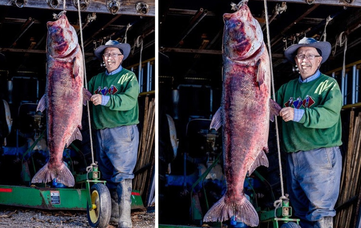 Missouri Man Catches World-Record Carp, Turns It into Fertilizer