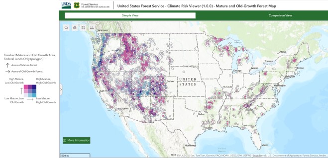 Here's Why No One Can Agree on How to Manage America's Oldest Forests