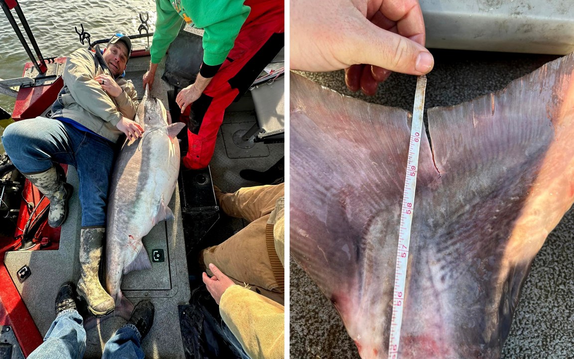 Guide Who Puts First-Time Angler on World-Record Paddlefish Says It's a ...