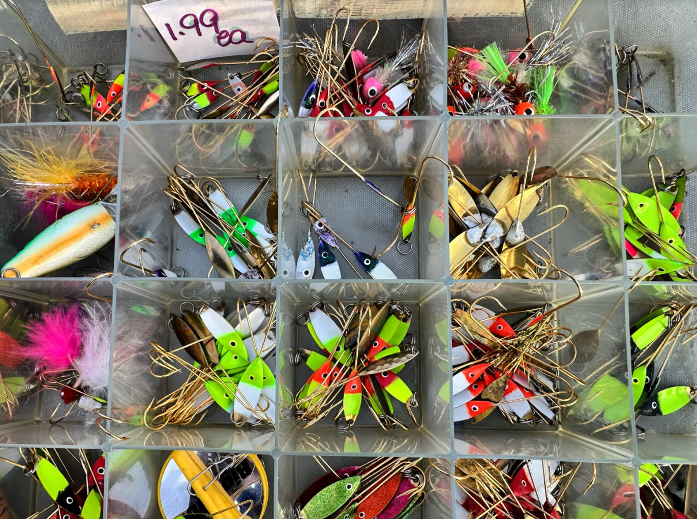 How to Catch Shad, a Beginner’s Guide | Outdoor Life