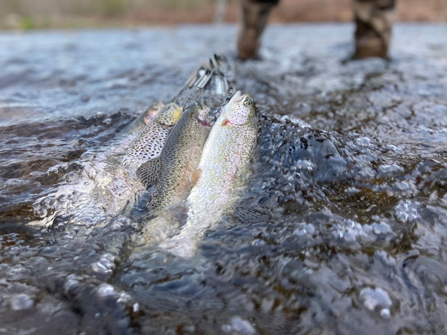 Trout Fishing Tips: How to Catch Trout | Outdoor Life
